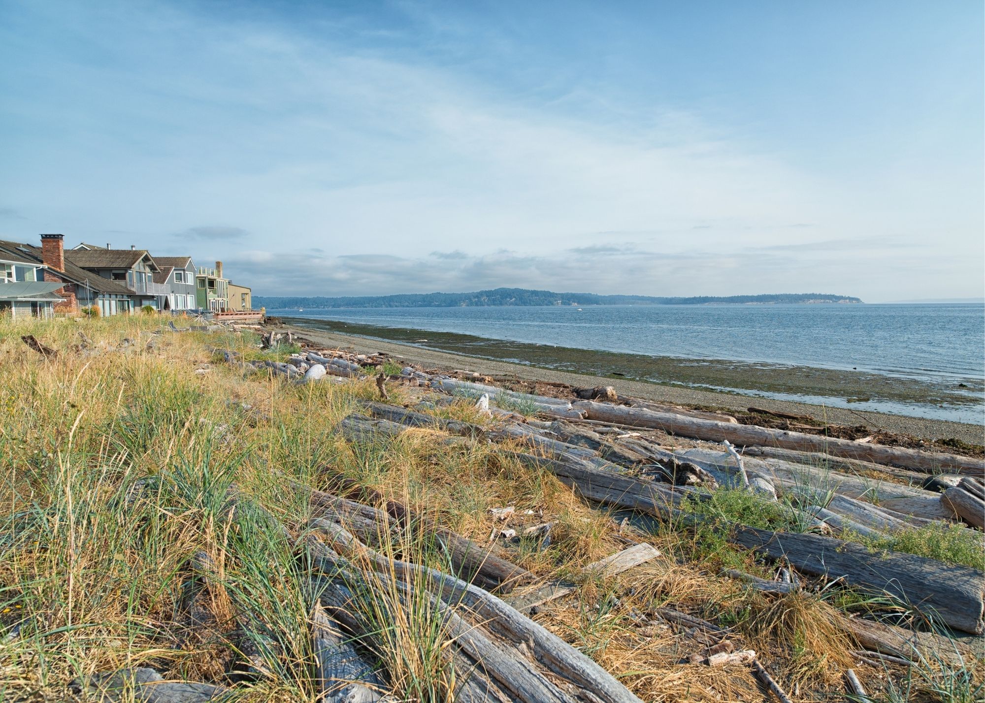 Shoreline Master Program